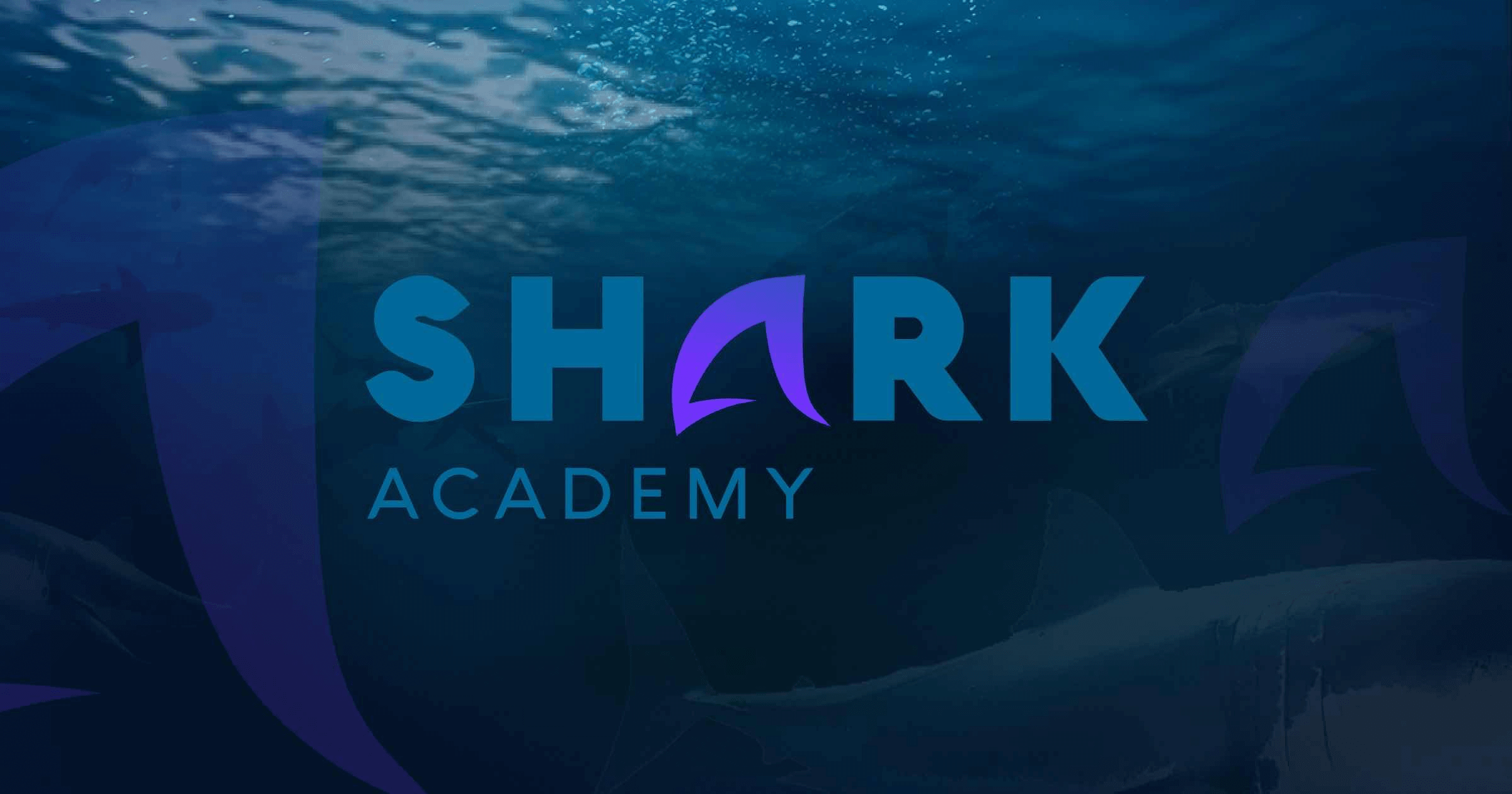 Shark Academy - คอร์สออนไลน์ บริหารธุรกิจด้วยเทคนิคแบบนักลงทุน